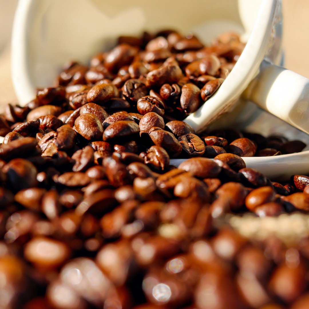 Plain Beans – PicaBean Coffee House